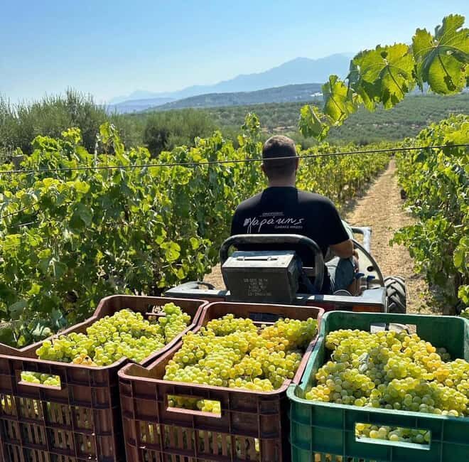 Soap, Wine, Raki, Olive Oil, Meet the local Producers Tour - Key Points