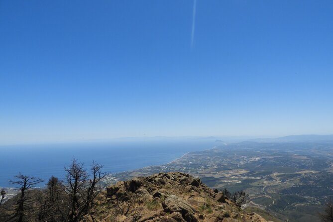 Soar like a bird over the Costa del Sol ecological tour with a natural spring - Detailed Itinerary Breakdown