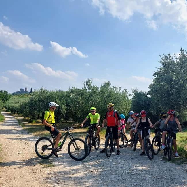Soave: E-Bike Tour with Wine Tasting in a Local Winery - The Heart of the Experience: Guided Wine Tasting