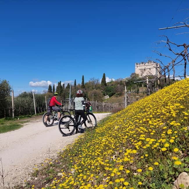 Soave: E-Bike Tour with Wine Tasting in a Local Winery - Analyzing Value and Suitability