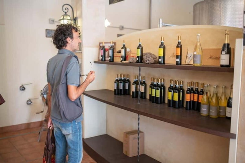 Soave: Wine Tasting and Vineyard Tour in Historical Centre - Who Should Consider This Tour?