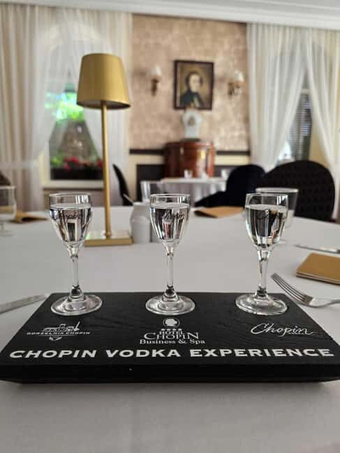 Sochaczew: Vodka, Liqueur, or Tincture Tasting Experience - Introducing the Tasting Journey in Sochaczew