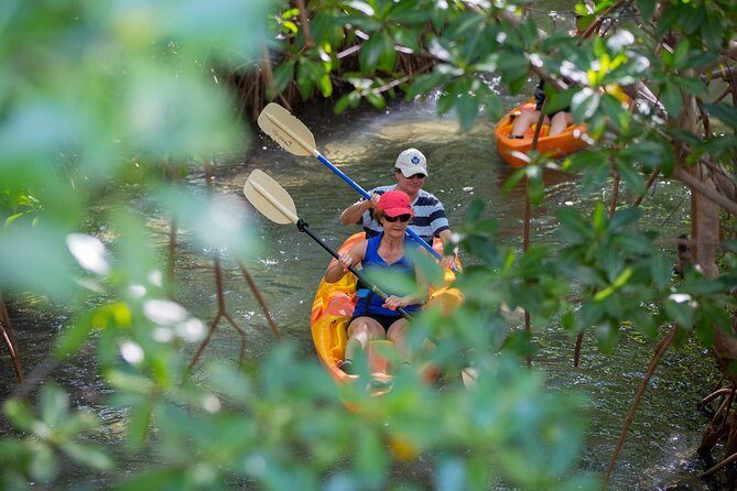 SoCoHo Eco Half Day - Mangrove Kayak & Reef Snorkeling - The Sum Up