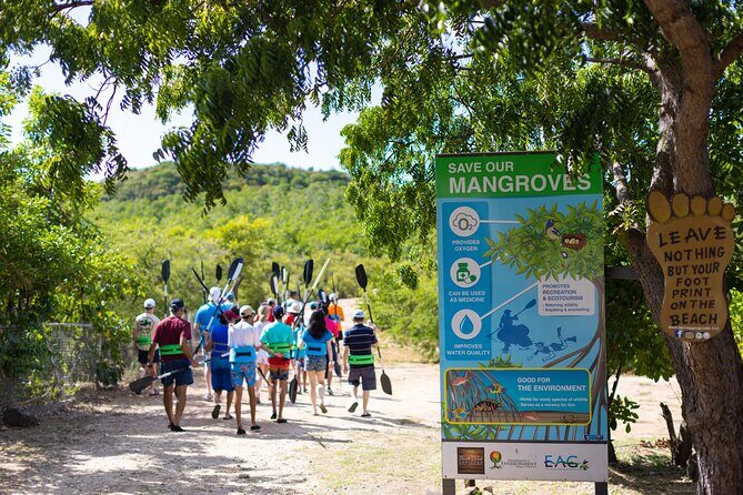 SoCoHo Eco Half Day - Mangrove Kayak & Reef Snorkeling - FAQ