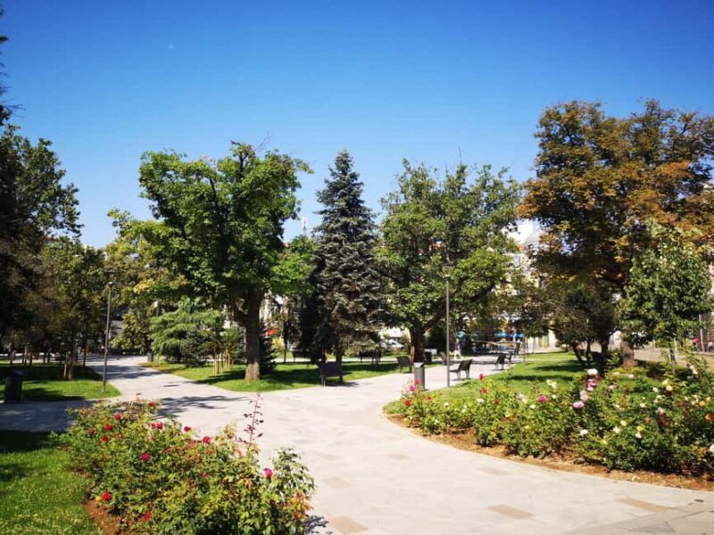 Sofia along its shady streets - Authentic Insights from Past Participants