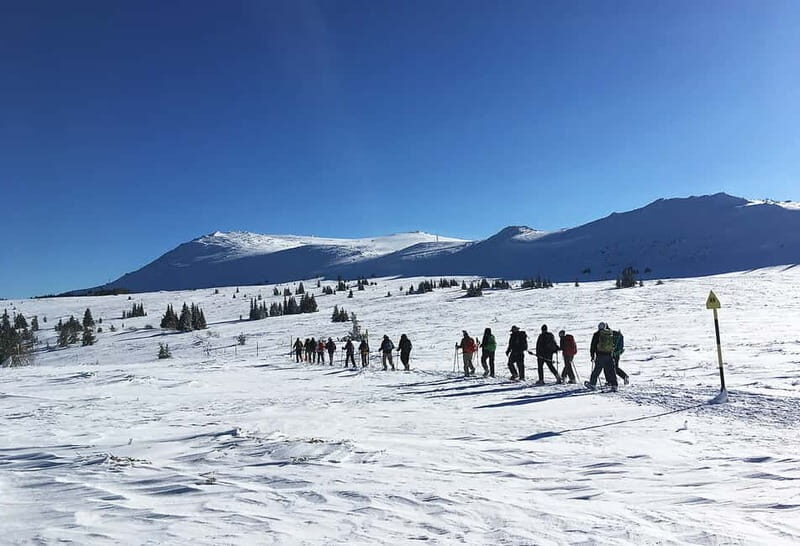 Sofia: Black Peak-Vitosha Mountain Snowshoeing Day Trip - Why Choose This Snowshoeing Day Trip?