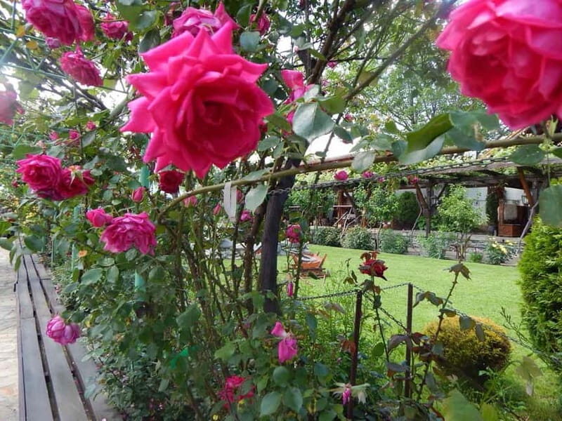 Sofia  Kazanluk Rose Valley & Oil Distillery Tour - FAQ