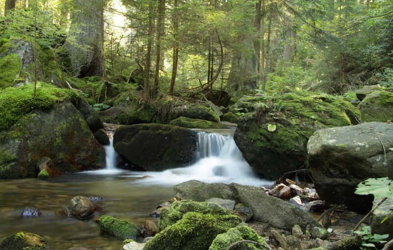 Sofia: Lovech, Devetaki Cave and Krushuna Waterfalls Tour - Introduction