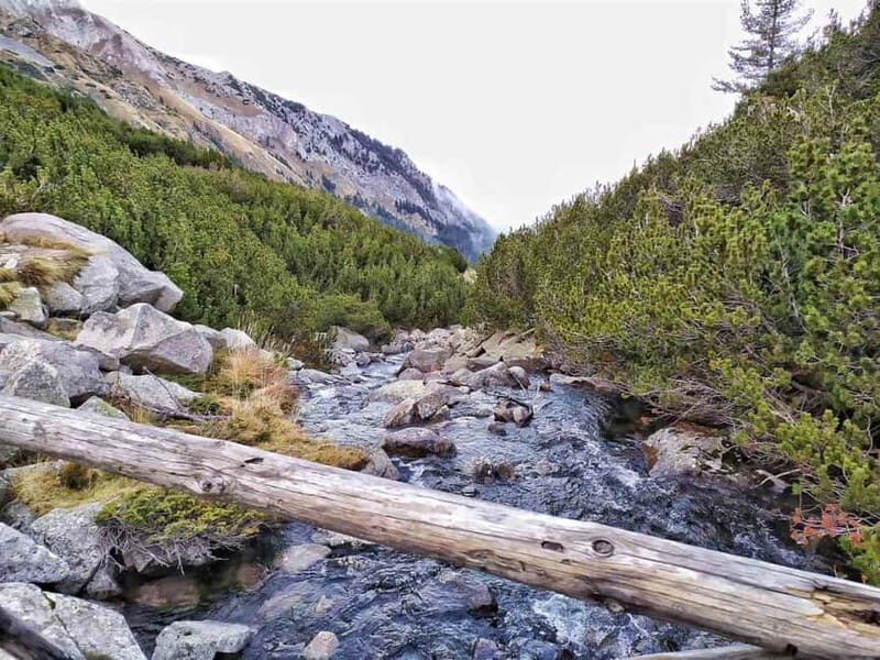 Sofia: Pirin National Park Hike & Bansko Visit - Authentic, Practical, and Worthwhile