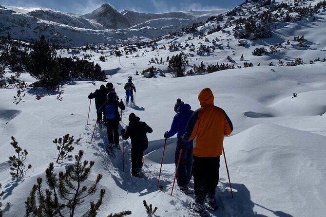 Sofia: Small group to Seven Rila Lakes and Skakavitsa waterfall - Authentic Experiences and Traveler Insights