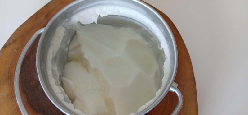 Sofia: Taste Bulgarian Yogurt Kiselo Mlyako in a Family Home - Sofia: Taste Bulgarian Yogurt Kiselo Mlyako in a Family Home