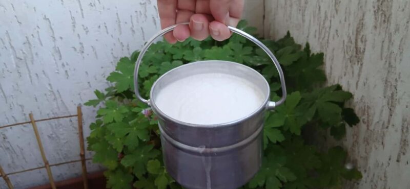 Sofia: Taste Bulgarian Yogurt Kiselo Mlyako in a Family Home - What You Can Expect
