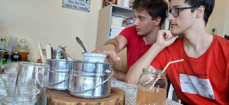 Sofia: Taste Bulgarian Yogurt Kiselo Mlyako in a Family Home - The Sum Up