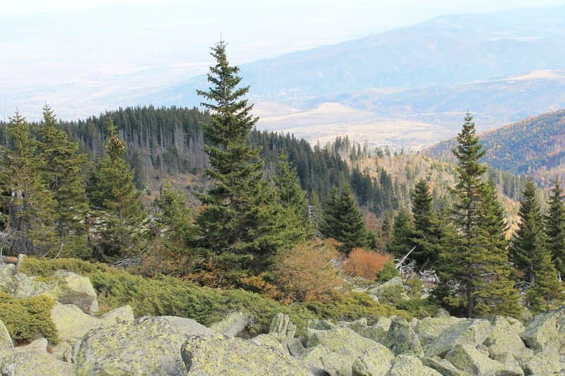 Sofia: Walk and Hike in Vitosha Mountain and Pancharevo Lake - Who Should Consider This Tour?