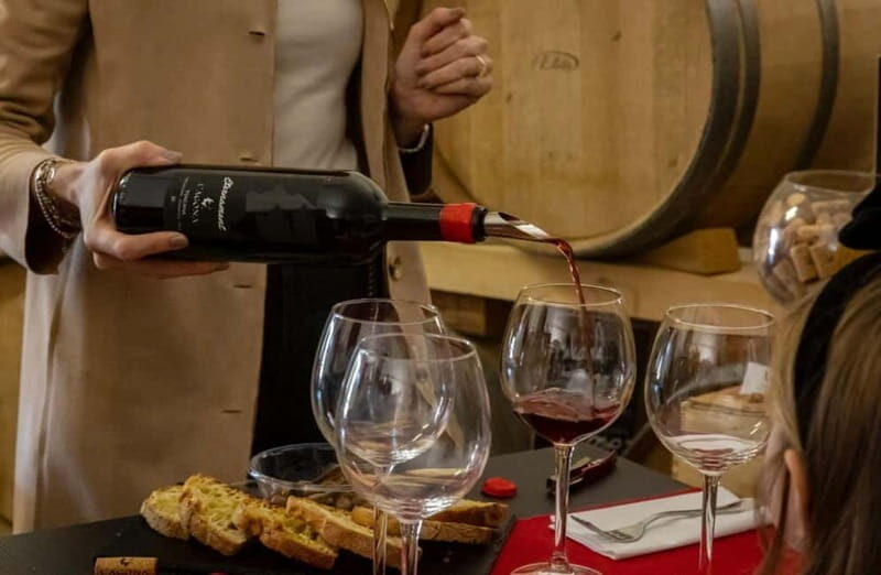 Soiana: Vineyard & Cellar Tour with Wine Tasting near Pisa - Key Points