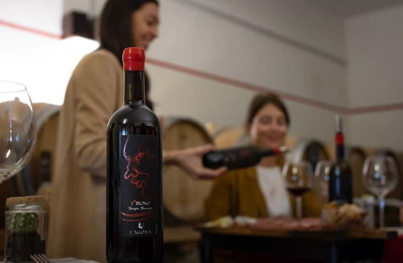 Soiana: Vineyard & Cellar Tour with Wine Tasting near Pisa - The Highlight: Wine Tasting