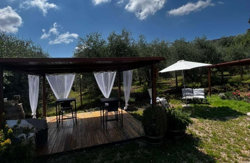 Soiana: Vineyard & Cellar Tour with Wine Tasting near Pisa - Final Thoughts: Who is This Tour For?