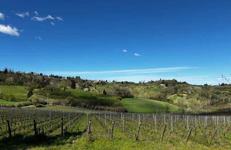 Soiana: Vineyard & Cellar Tour with Wine Tasting near Pisa - FAQ