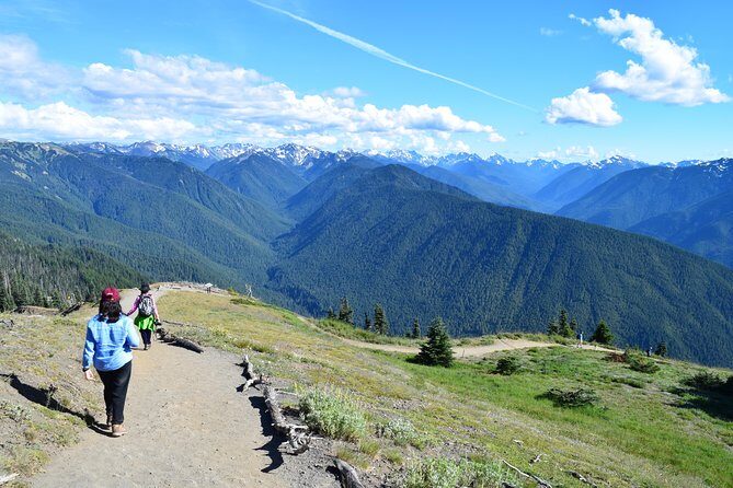 Sol Duc, Lake Crescent, and Hurricane Ridge Guided Tour in Olympic National Park - The Itinerary in Detail