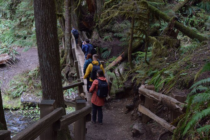 Sol Duc, Lake Crescent, and Hurricane Ridge Guided Tour in Olympic National Park - Who Should Consider This Tour?