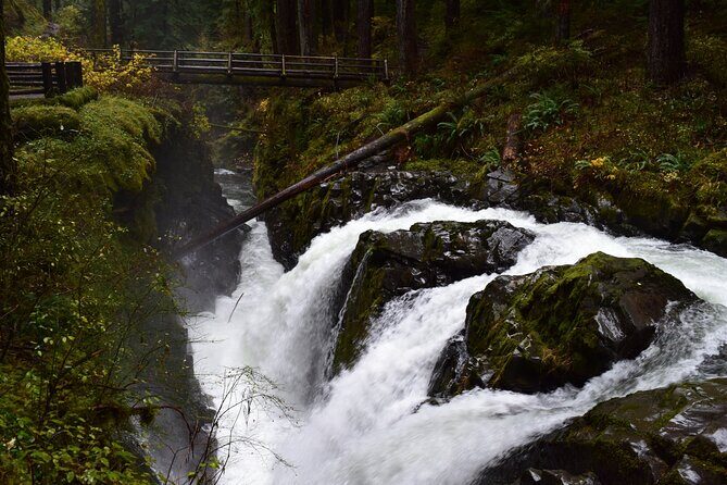 Sol Duc, Lake Crescent, and Hurricane Ridge Guided Tour in Olympic National Park - Final Thoughts