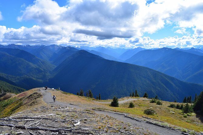 Sol Duc, Lake Crescent, and Hurricane Ridge Guided Tour in Olympic National Park - FAQ