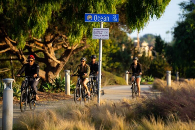 Solana Beach: E-Bike Tour to Torrey Pines or North Coast - Who Should Consider This Tour?