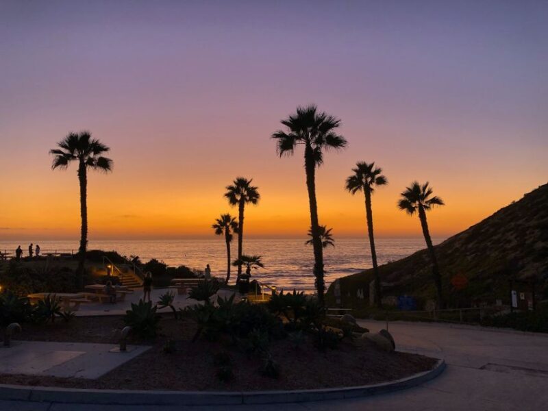 Solana Beach: Stand-up Paddle Board Rental - What to Expect from Your Paddleboarding Day in Solana Beach