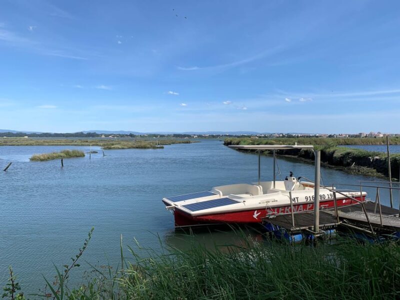 Solar Boat Tour along the Salgado da Ria de Aveiro - Key Points