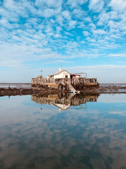 Solar Boat Tour along the Salgado da Ria de Aveiro - Deep Dive into the Experience