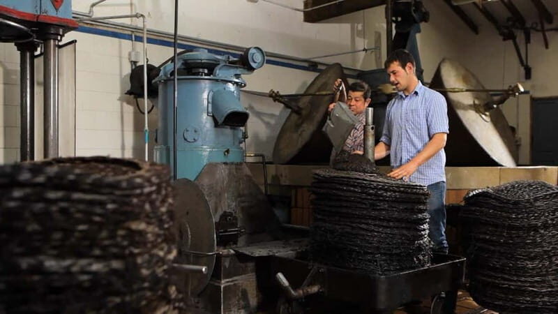 Sóller: Olive Oil Guided Tour and Tasting at Can Det Estate - Final Thoughts: Is This Tour Worth It?