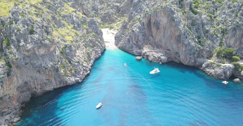 Soller: Sa Calobra & Cala Tuent Speedboat Tour - The Cost & Overall Value