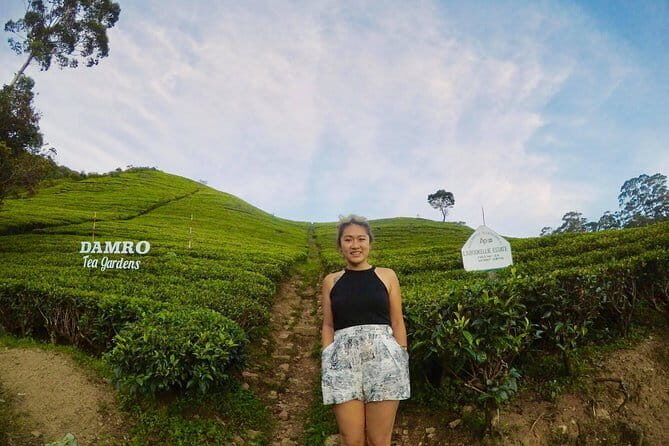 Solo Traveler With Holiday Walkers Sri Lanka ( Round Tour ) - Key Points