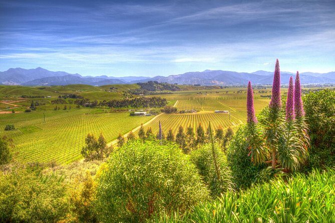 Solo Traveller Full Day Wine Gourmet and Scenic Delights Tour from Blenheim - FAQ