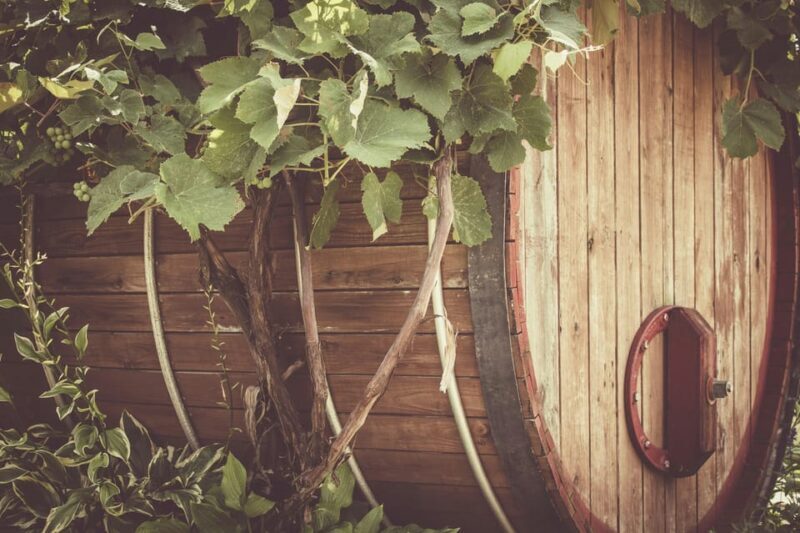 Solvang: Santa Ynez Valley Wine Tours w/ Lunch & Tastings - Authentic Experiences and Genuine Value