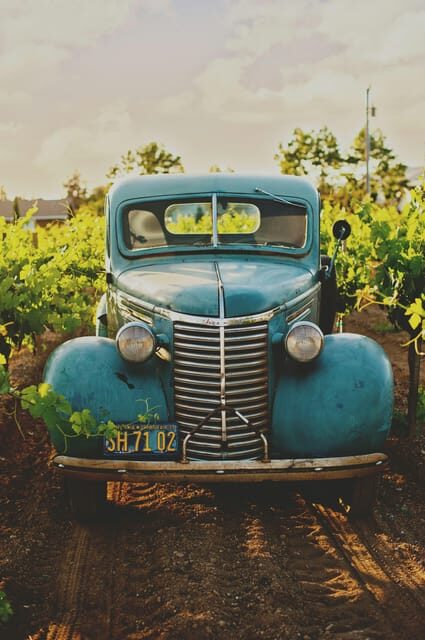 Solvang: Santa Ynez Valley Wine Tours w/ Lunch & Tastings - Who Will Enjoy This Tour?