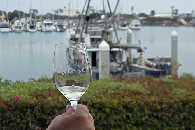 Solvang Ventura Wine Tour by Car - The Sum Up: Who Should Consider This Tour?