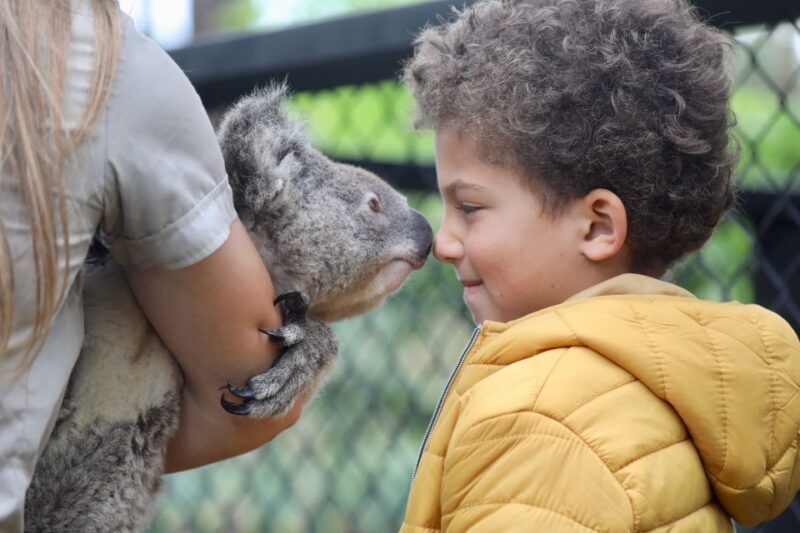 Somersby: Australian Reptile Park Day Pass - 9am to 5pm - Who Should Visit?