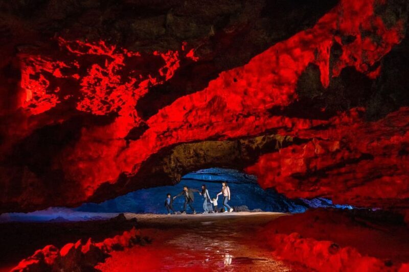 Somerset: Wookey Hole Caves Day Admission Ticket - The Museum and Seasonal Shows