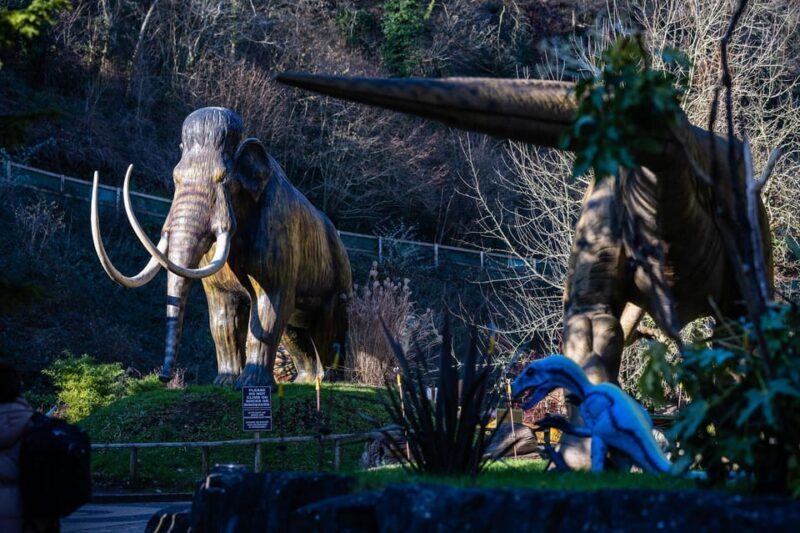 Somerset: Wookey Hole Caves Day Admission Ticket - Inside the Experience: What It’s Like