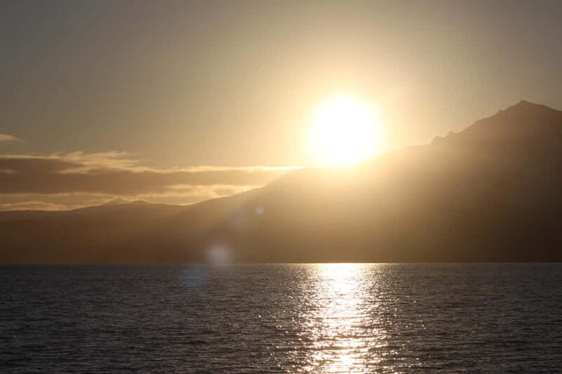 Sommarøy: Midnight Tour by minibus - A Detailed Look at the Sommarøy Midnight Tour