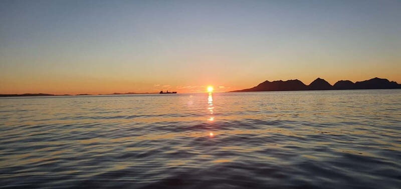 Sommarøy: Midnight Tour by minibus - Who Should Consider This Tour?