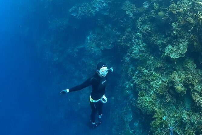 Son Tra Snorkeling Adventure with traditional boat - Key Points