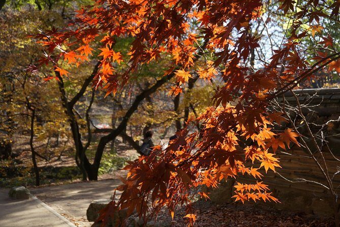 Songnisan National Park & Beopjusa Temple UNESCO site Private Tour - FAQ