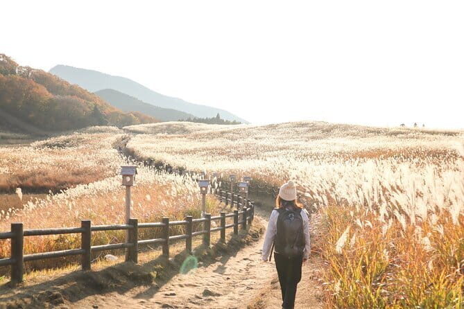 Soni Highlands Eco Adventure and Giant Salamanders From Nagoya - Key Points