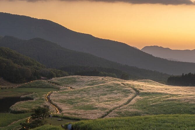 Soni Highlands Eco Adventure and Giant Salamanders From Nagoya - A Closer Look at the Nagoya Eco Adventure