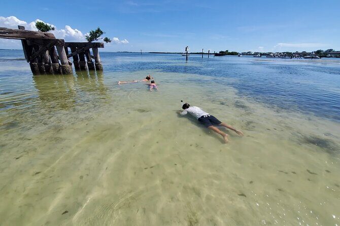 Sonnys Boat Tours Full Day Sand Bar Adventure Englewood, Florida - Authentic Experiences and Feedback from Travelers