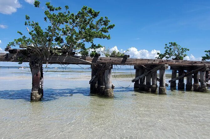 Sonnys Boat Tours Full Day Sand Bar Adventure Englewood, Florida - Who Should Consider This Tour?