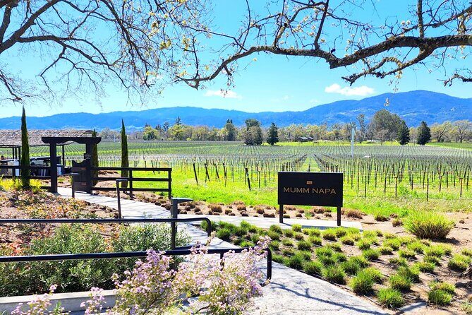 Sonoma and Napa Champagne Wine Private Tour Half Day - An In-Depth Look at the Sonoma and Napa Champagne Tour