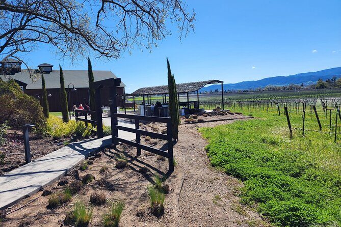 Sonoma and Napa Champagne Wine Private Tour Half Day - Final Thoughts: Who Should Consider This Tour?